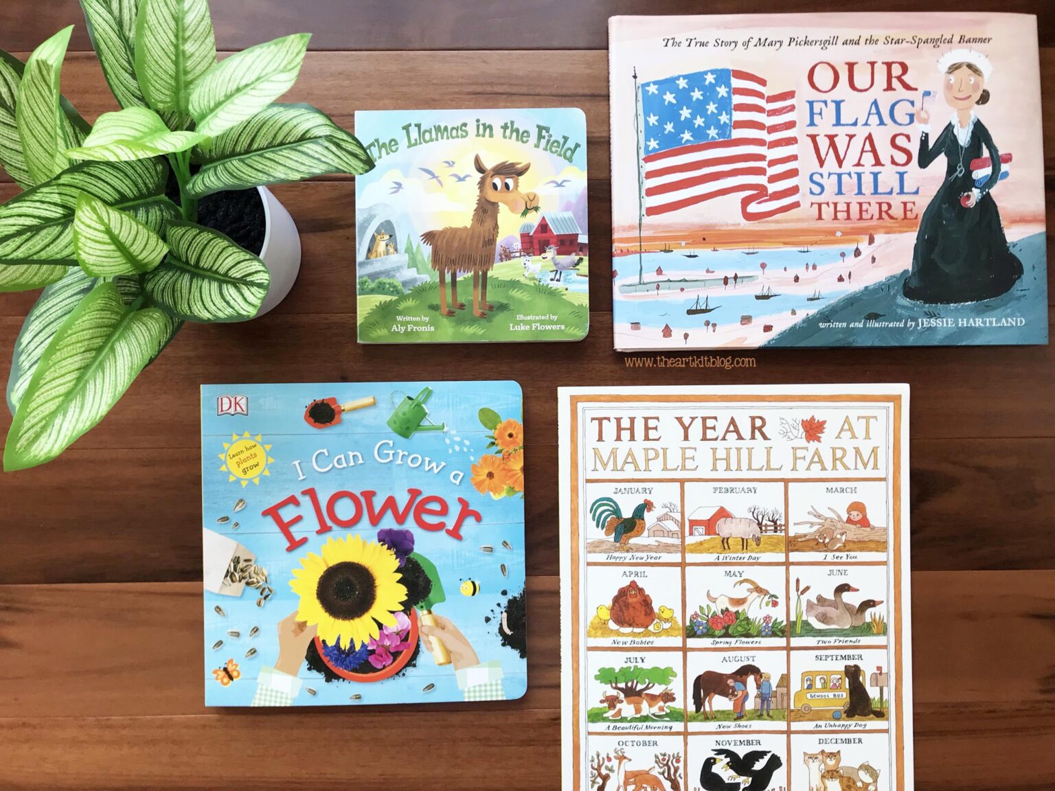 Book Outlet Coupon + Book Haul - The Art Kit