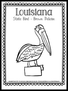 Louisiana State Bird Coloring Page (Brown Pelican) {FREE Printable ...