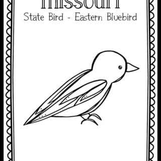 Missouri Archives - The Art Kit