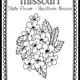 Missouri Archives - The Art Kit