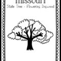 Nevada State Tree Coloring Page (Bristlecone Pine) {FREE Printable ...