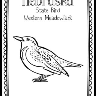 Nebraska Archives - The Art Kit