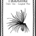 Montana State Tree Coloring Page (Ponderosa Pine!) {FREE Printable ...