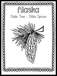 Alaska State Tree Coloring Page (The Sitka Tree) {FREE Printable ...