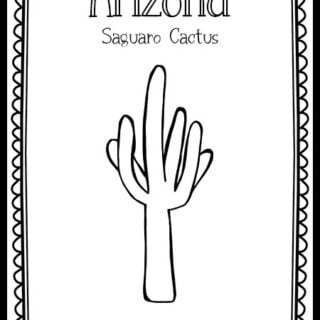 Arizona Archives - The Art Kit