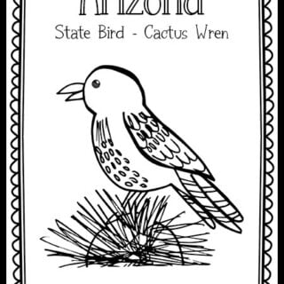 Cactus Archives - The Art Kit