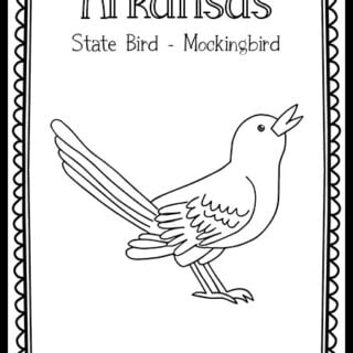 Arkansas Archives - The Art Kit