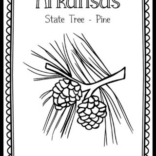 Arkansas Archives - The Art Kit