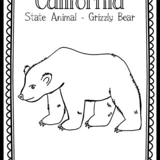 California Archives - The Art Kit