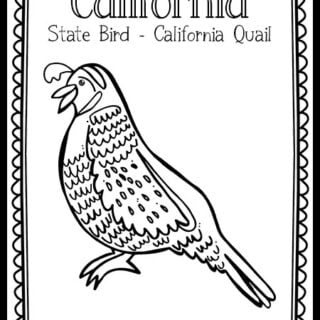 California Archives - The Art Kit