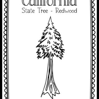 California Archives - The Art Kit