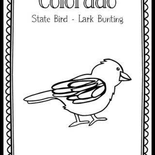 Colorado Archives - The Art Kit