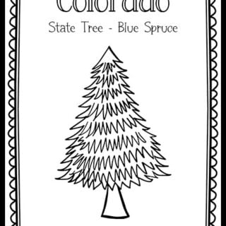 Colorado Archives - The Art Kit