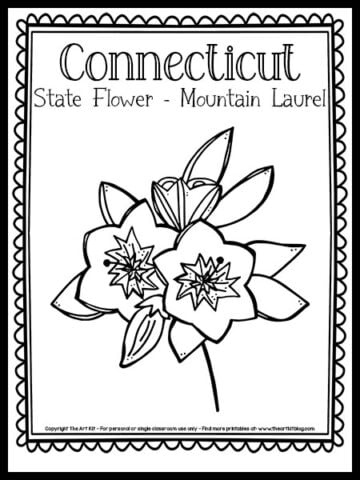 {Free Printable} Connecticut State Flower Coloring Page [Mountain ...