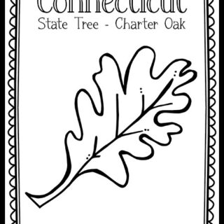 Connecticut Archives - The Art Kit