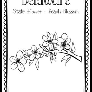 Delaware Archives - The Art Kit