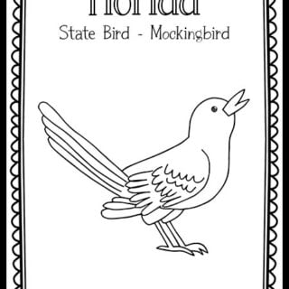 Florida Archives - The Art Kit