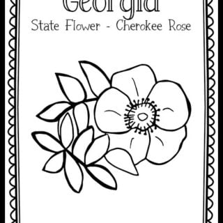 Georgia Archives - The Art Kit