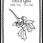 Georgia Archives - The Art Kit
