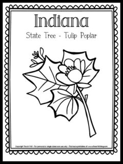 Indiana State Tree Coloring Page (Tulip Poplar) {FREE Printable!} - The ...