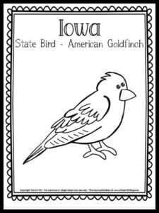 Iowa State Bird Coloring Page (American Goldfinch!) {FREE Printable ...