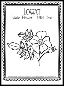 Iowa State Flower (Wild Rose!) Coloring Page {FREE Printable!} - The ...
