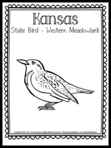 Kansas State Bird Coloring Page (Western Meadowlark!) {FREE Printable ...