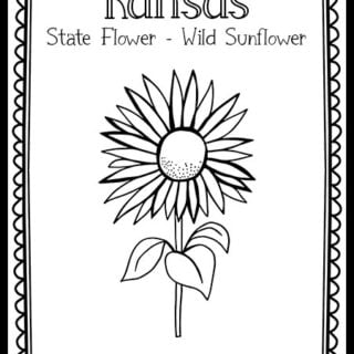 Kansas Archives - The Art Kit