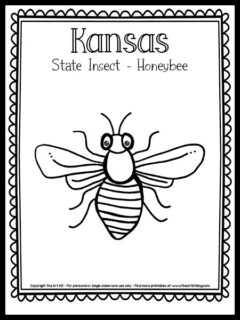 Kansas State Insect Coloring Page (the Honeybee!) {FREE Printable ...