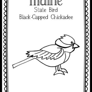 Maine Archives - The Art Kit