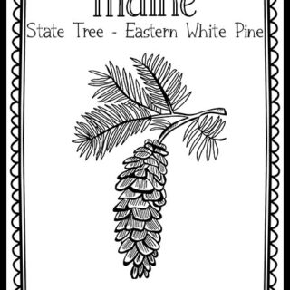 Maine Archives - The Art Kit