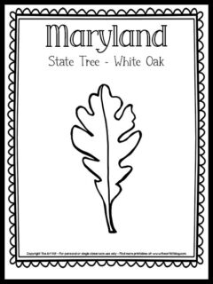 Maryland State Tree (White Oak) Coloring Page {FREE Printable!} - The ...