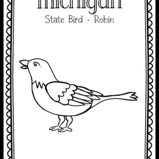Michigan Archives - The Art Kit