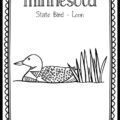 Nevada State Bird Coloring Page (Mountain Bluebird!) {FREE Printable ...