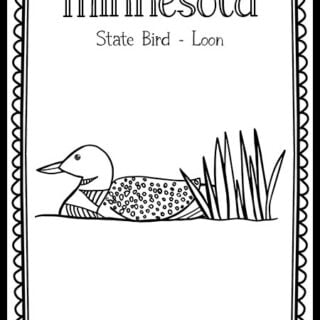 Minnesota Archives - The Art Kit