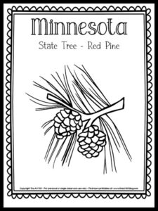Minnesota State Tree Coloring Page (Red Pine) {FREE Printable!} - The ...