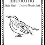 Montana Archives - The Art Kit