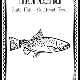 Trout Archives - The Art Kit