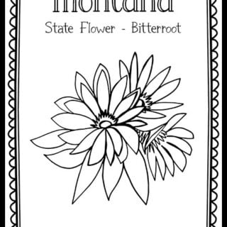 Montana State Flower Coloring Page