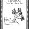 Nevada State Tree Coloring Page (Bristlecone Pine) {FREE Printable ...
