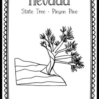 Nevada Archives - The Art Kit