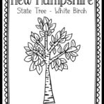 New Hampshire Archives - The Art Kit