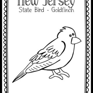 New Jersey Archives - The Art Kit