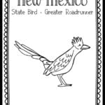 New Mexico Archives - The Art Kit