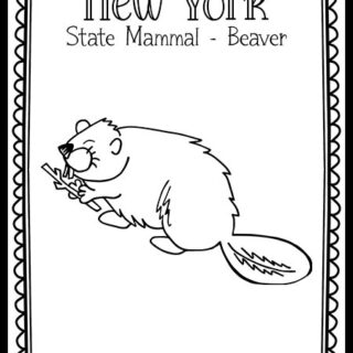 New York Archives - The Art Kit