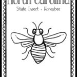 North Carolina Archives - The Art Kit