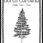 North Carolina Archives - The Art Kit