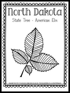 North Dakota State Tree Coloring Page (American Elm!) {FREE Printable ...