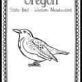 Alabama State Bird (Yellowhammer) Coloring Page {FREE Printable!} - The ...