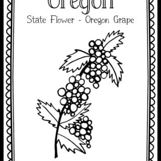 Oregon Archives - The Art Kit